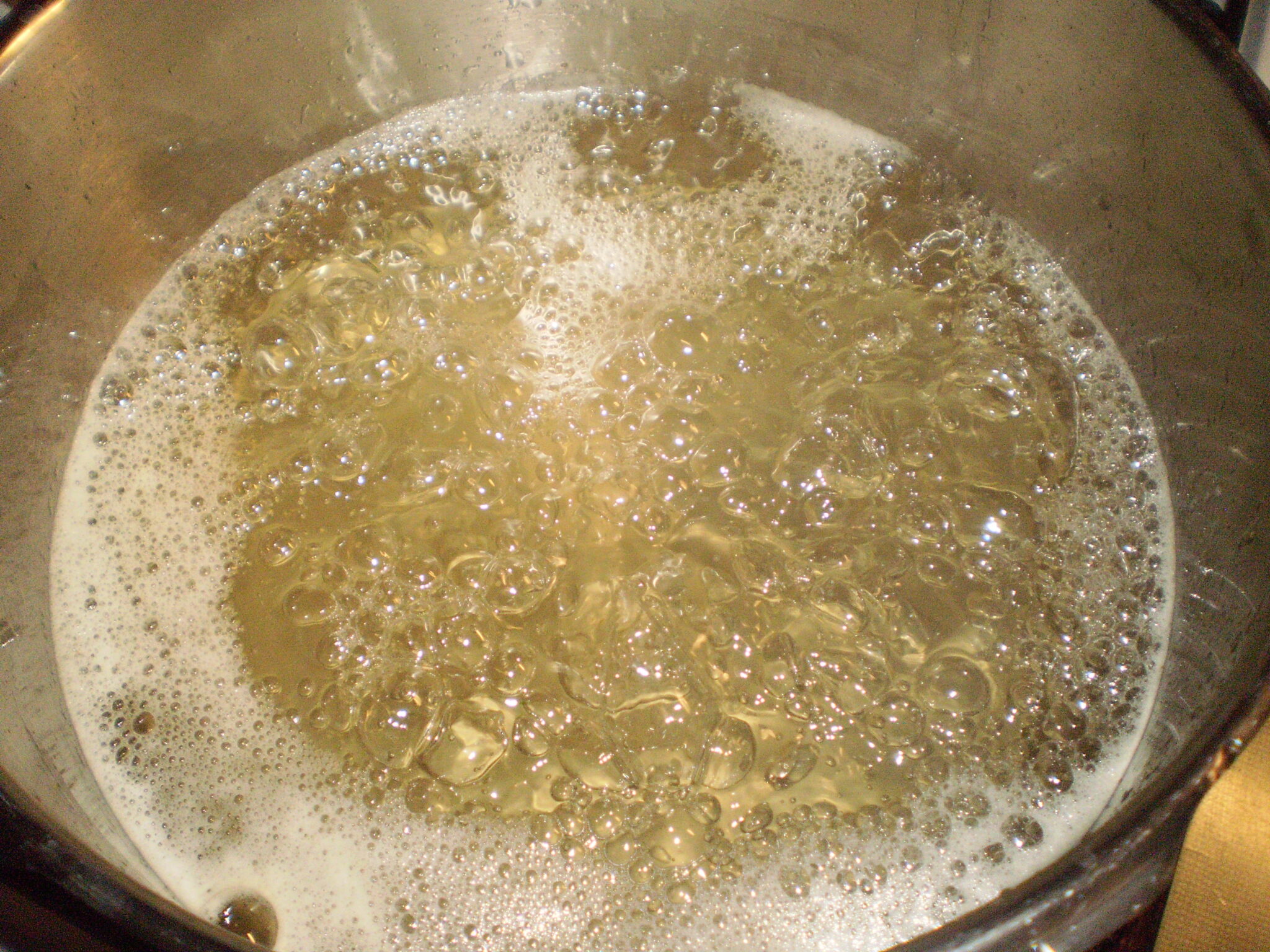 Lindenblütensirup – Wildsammlung